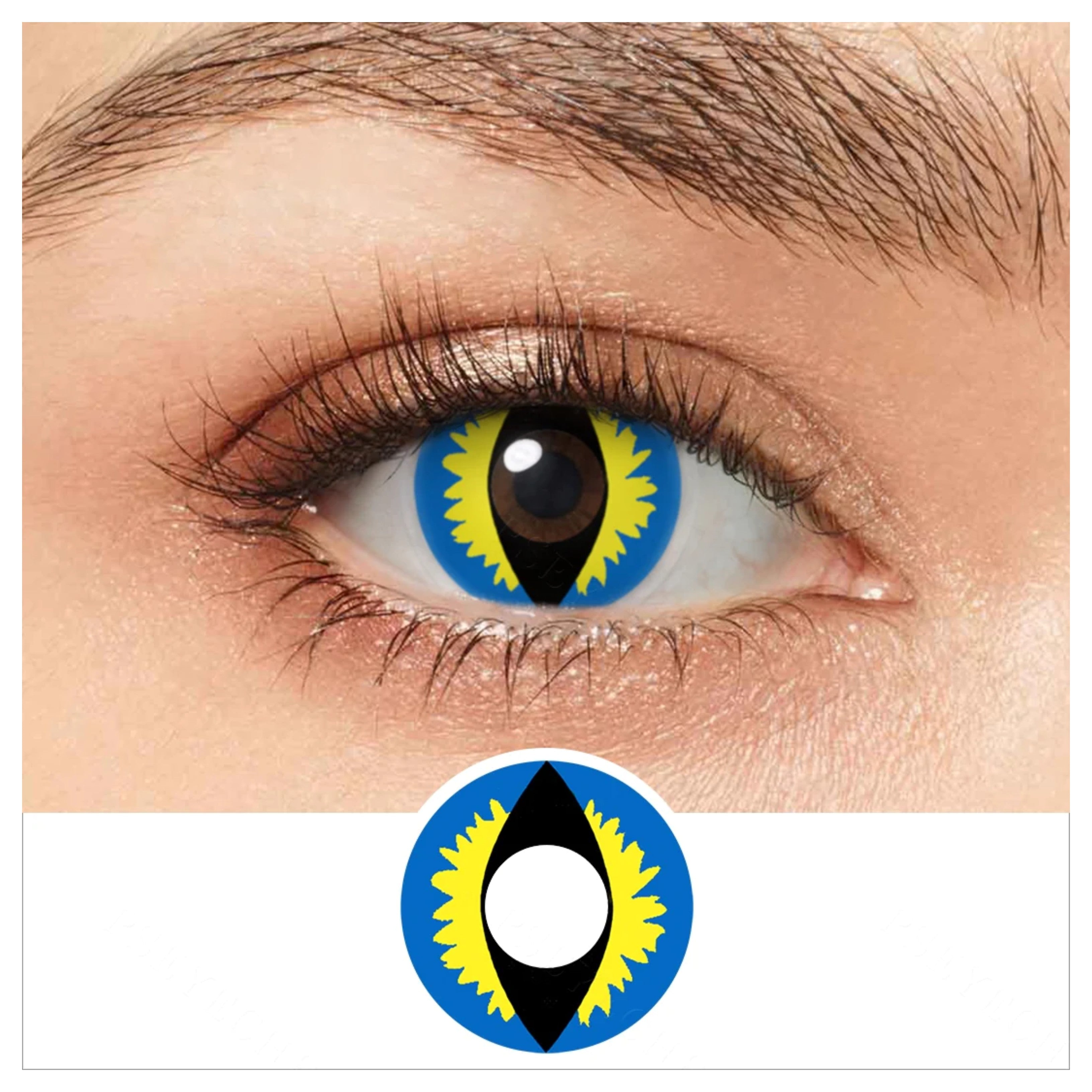 Blue Dragon Eye Halloween Contacts – Halloween Contact Lenses