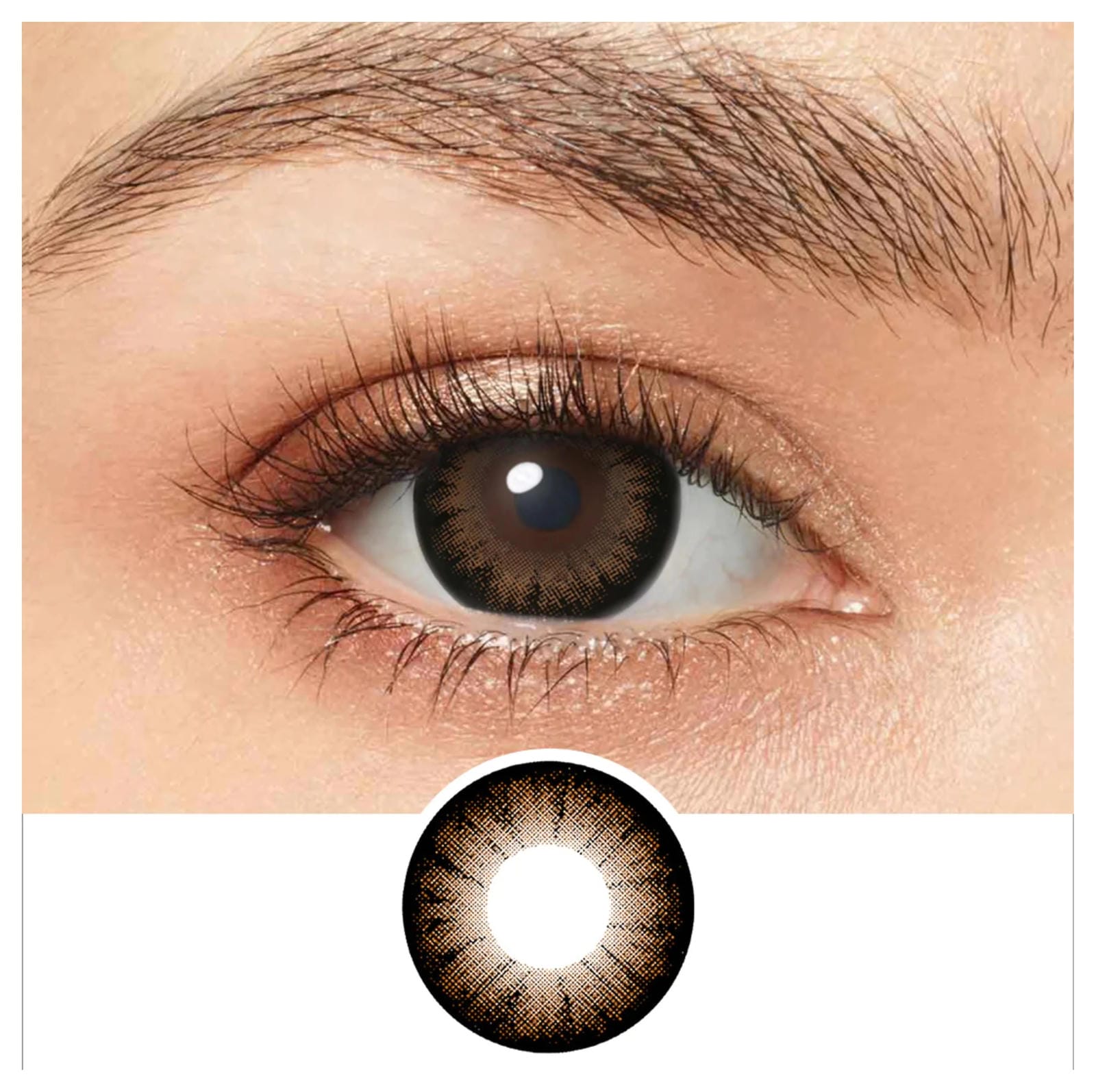 Supersize Brown – Halloween Contact Lenses